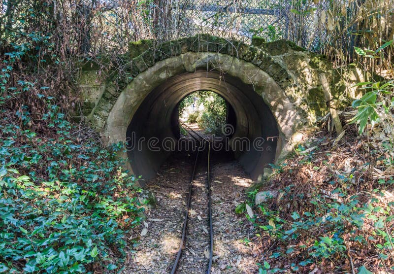 Small Train Railway with a Tube Tunnel and Some Generic Vegetation ...
