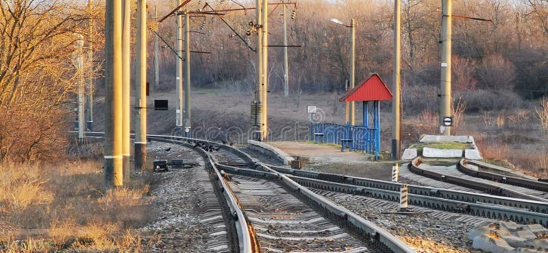 A small train station stock photo. Image of forest, stop - 213390942