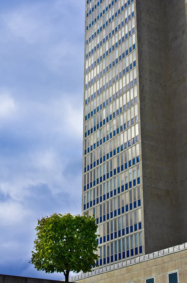 Small Tree and Big Building Stock Photo - Image of green, house: 21526938