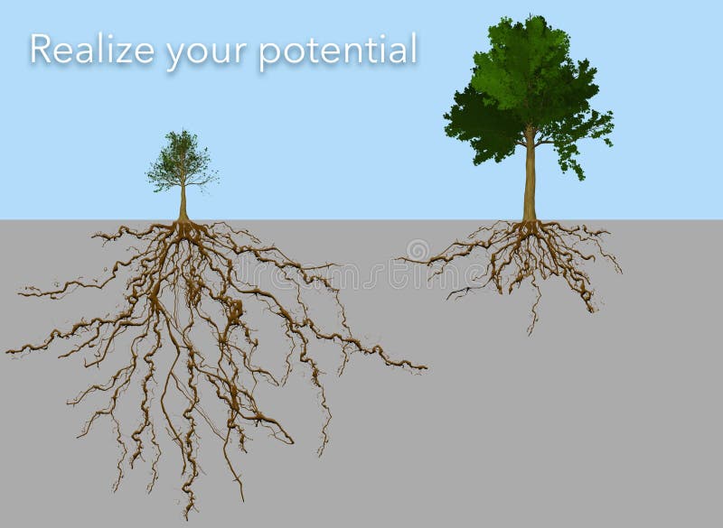 A Small Tree with a Big Root System is Seen with a Big Tree with a ...