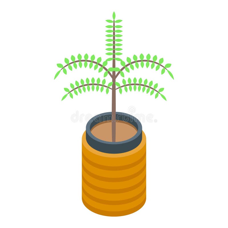 Small Tree is Growing in a Decorative Pot Stock Illustration ...