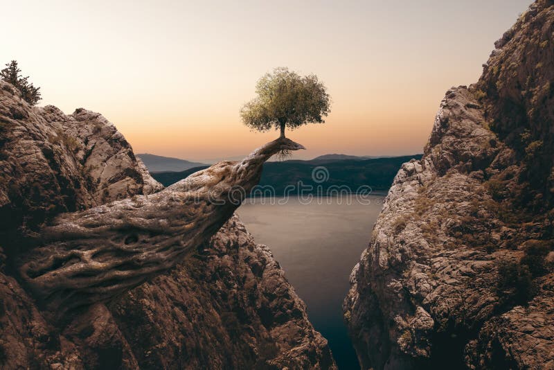 238 Unrealistic Tree Stock Photos - Free & Royalty-Free Stock Photos ...