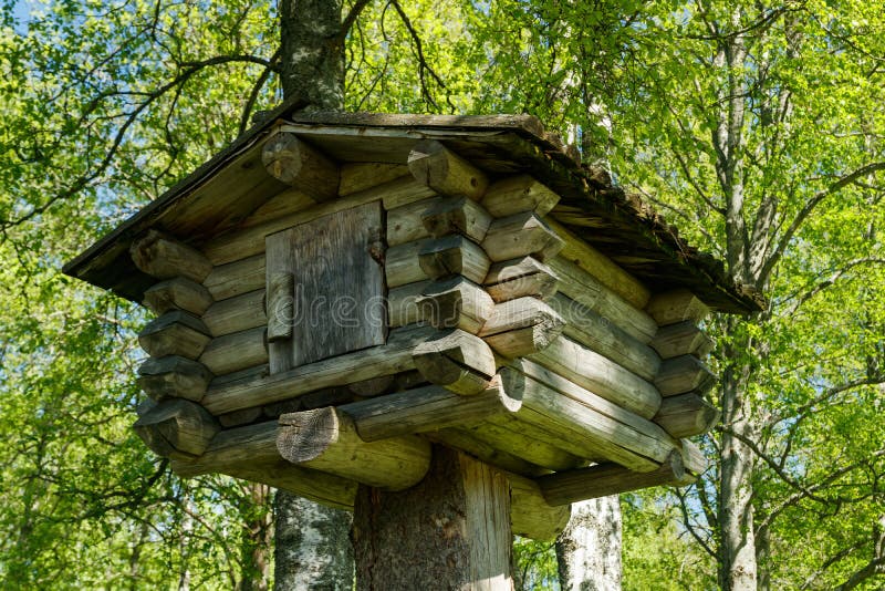 Small Tree House Made of Logs in the Forest Stock Photo - Image of door ...