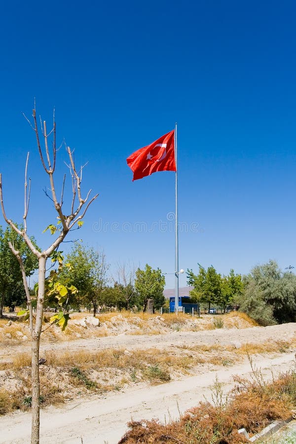 A Small Tree and a Large Turkish Flag in the Background Stock Photo ...