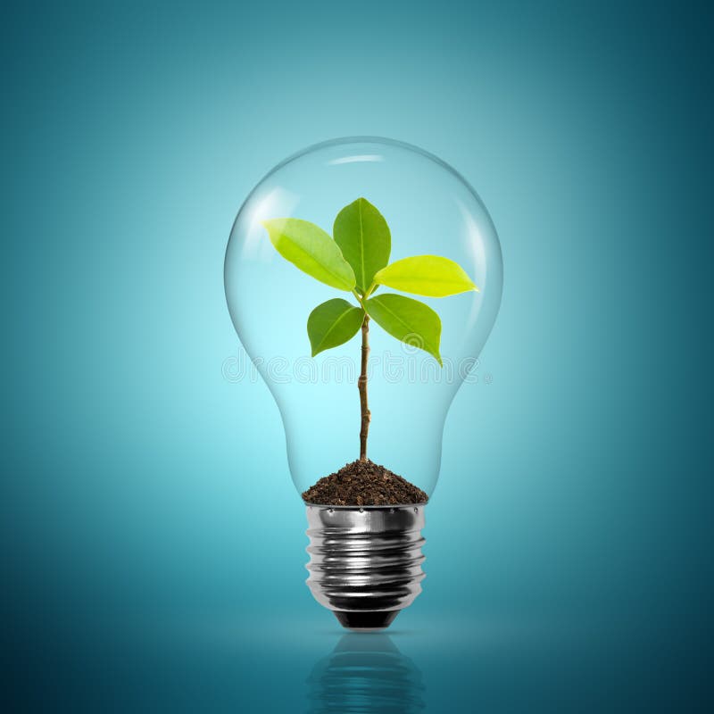 Small tree in a light bulb stock photo. Image of problem - 22743462