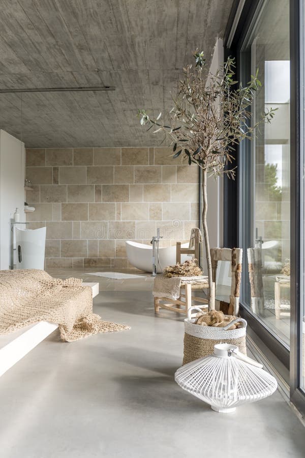 Small tree next to window stock image. Image of decorative - 104389893