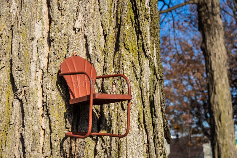 A Small Tree Ornament of a Chair on the Side of a Tree Stock Photo ...