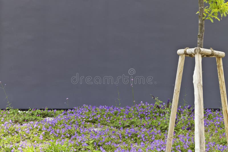 Small Tree Over Light Grey Background Stock Image - Image of design ...