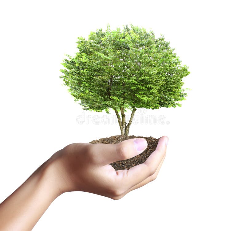 8,200+ Tree hand Free Stock Photos - StockFreeImages