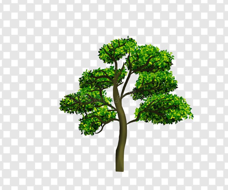 193 Small Tree Png Stock Photos - Free & Royalty-Free Stock Photos from ...