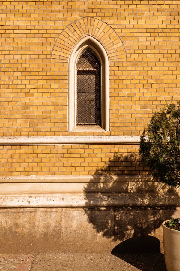 Small Tree in a Pot Casting Shadow on Yellow Brick Wall Stock Photo ...