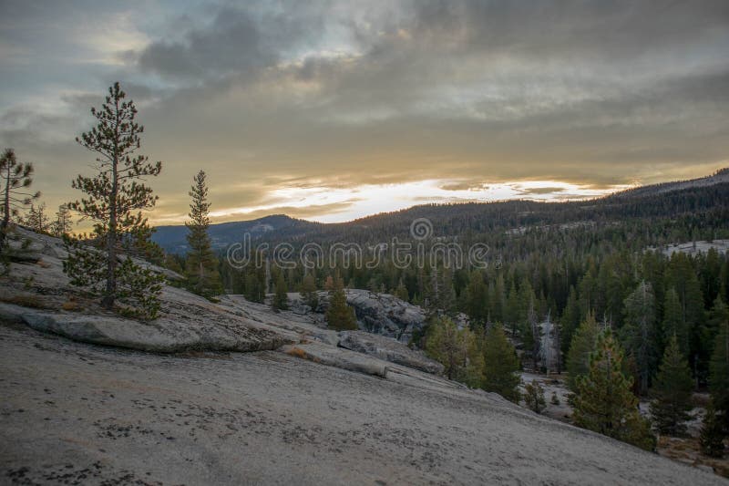 Small Tree Sitting in the Middle of the Mountain Stock Photo - Image of ...