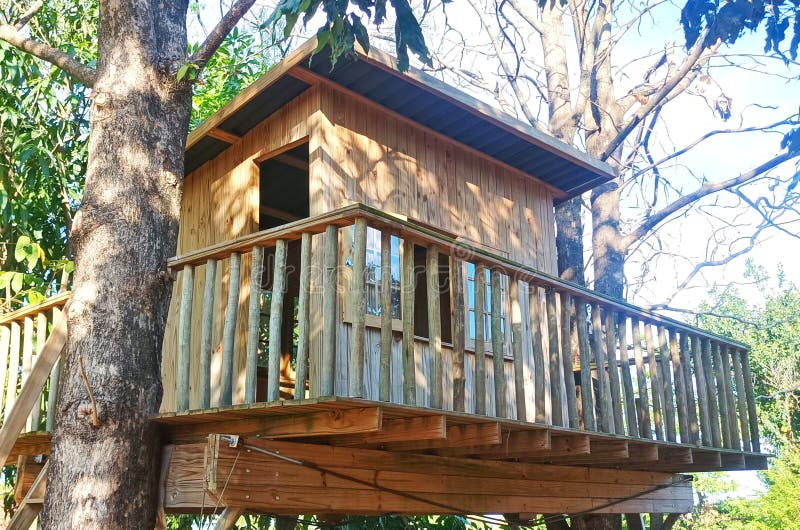 A Small Treehouse with a Door and Windows and a Mezzanine Built between ...