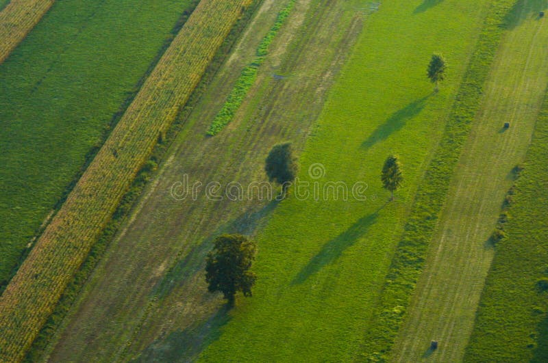 Small trees stock image. Image of meadow, horizon, aerial - 8704601
