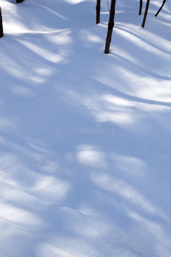 Blue shadows on the snow stock photo. Image of winter - 136724846