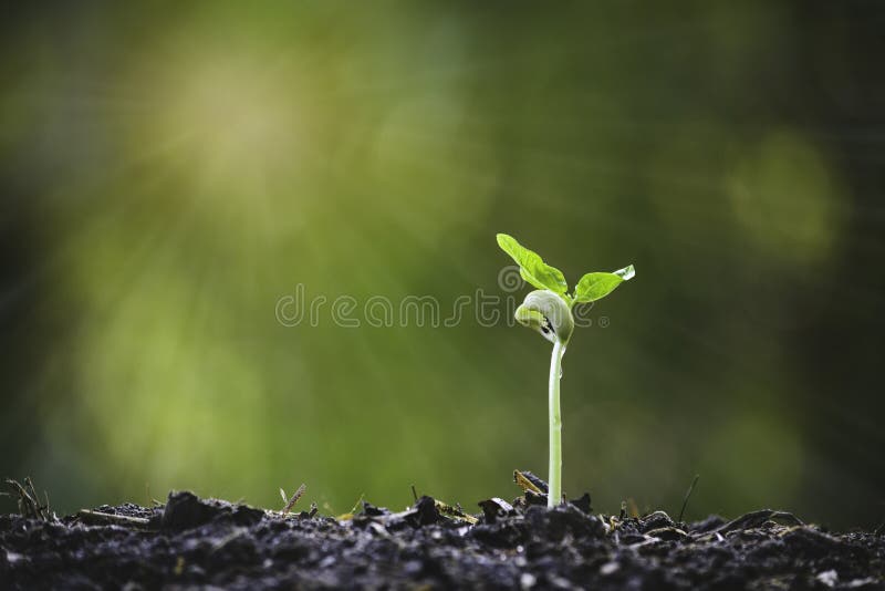 921 Ground Incomplete Stock Photos - Free & Royalty-Free Stock Photos ...