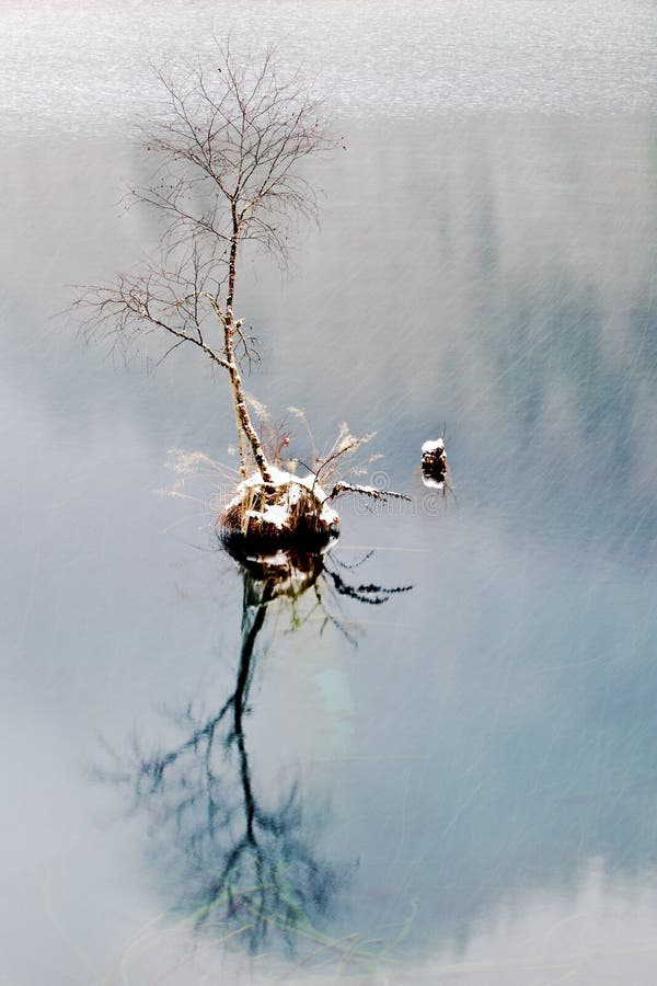 Inverted image stock photo. Image of morning, fishermen - 3387968