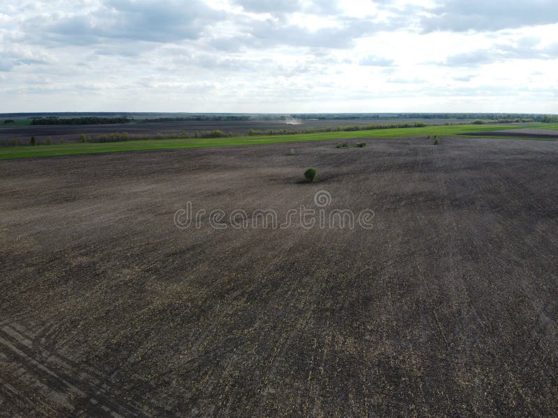 Small Trees in the Middle of Arable Fields, Aerial View. Agricultural ...