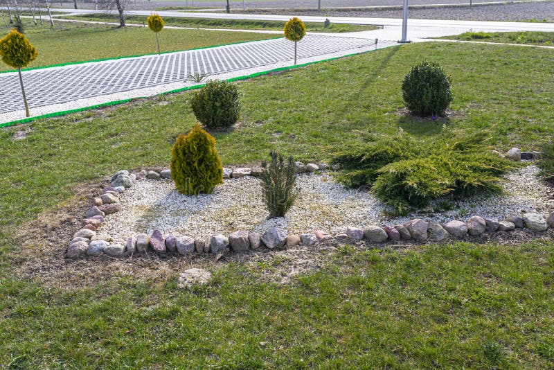 Small Trees Planted in the Backyard Garden in a Separate Place in the ...