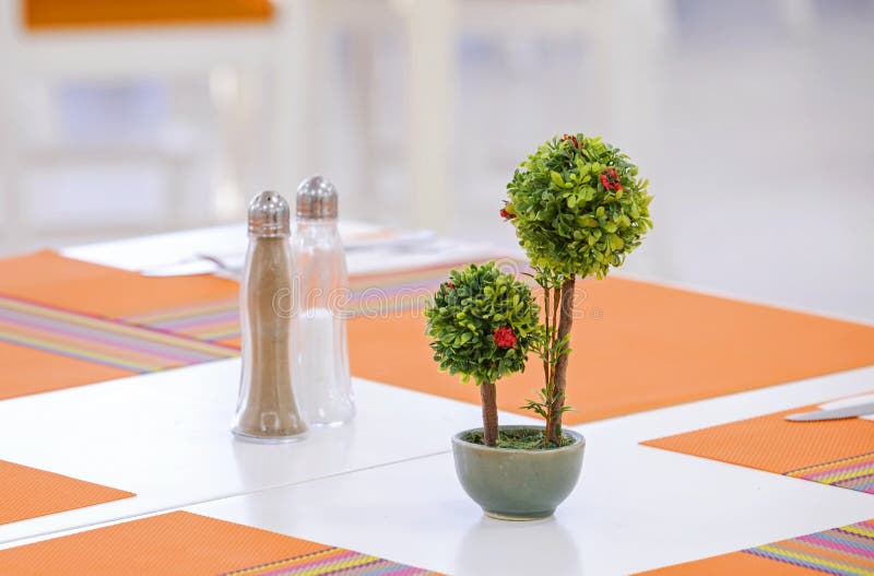 Small trees on the table 1 stock photo. Image of floor - 134590180