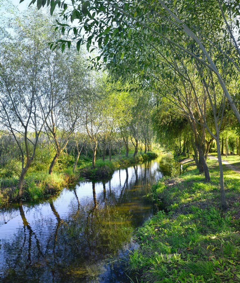 Small Tributary of a Big River Stock Image - Image of water, nature ...
