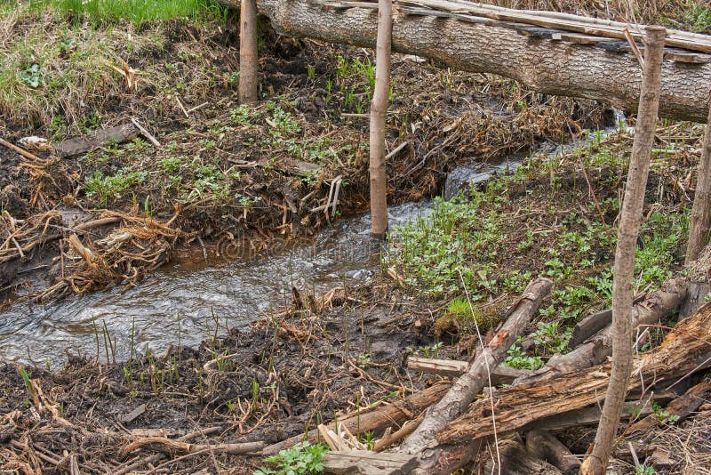 Tributary Stream of Vesubie River Near Rochebiliere, France Stock Photo ...