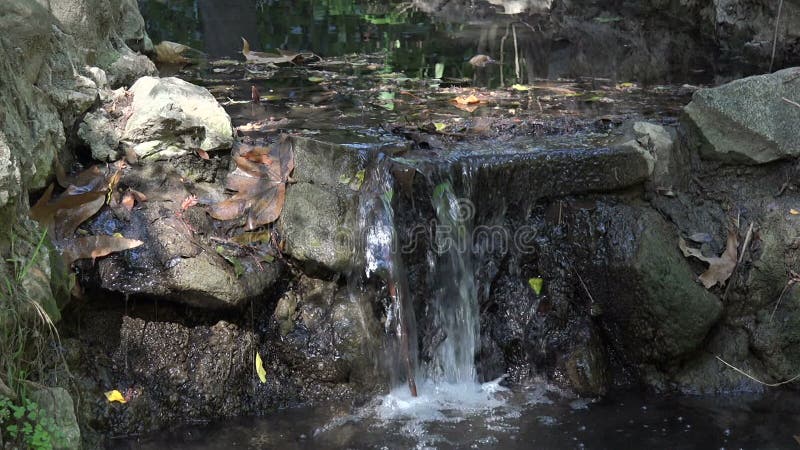 Small Trickling Waterfall in a Forest Stock Footage - Video of ...