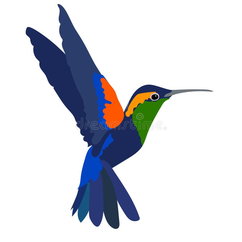 Hummingbird Flat Vector Stock Illustrations – 1,035 Hummingbird Flat ...