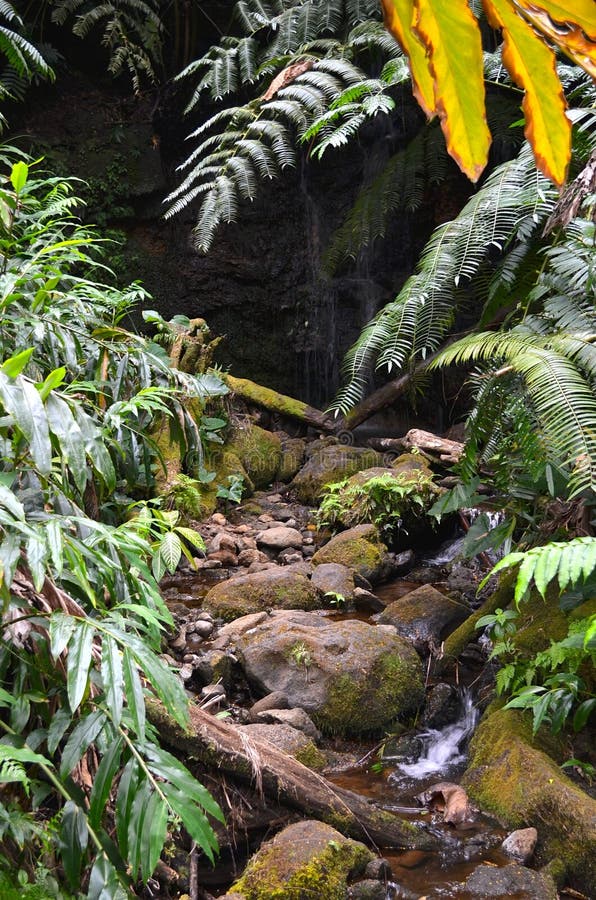 Small tropical waterfall stock image. Image of small - 41138397