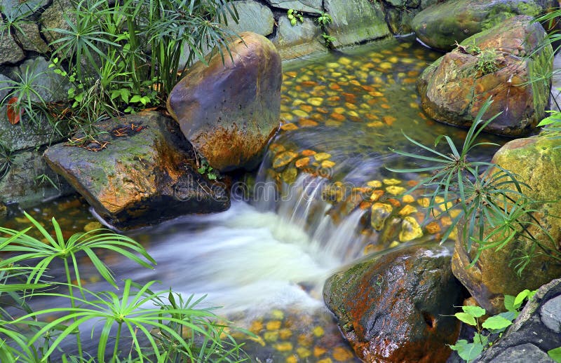 Waterfall Tropical Garden Design