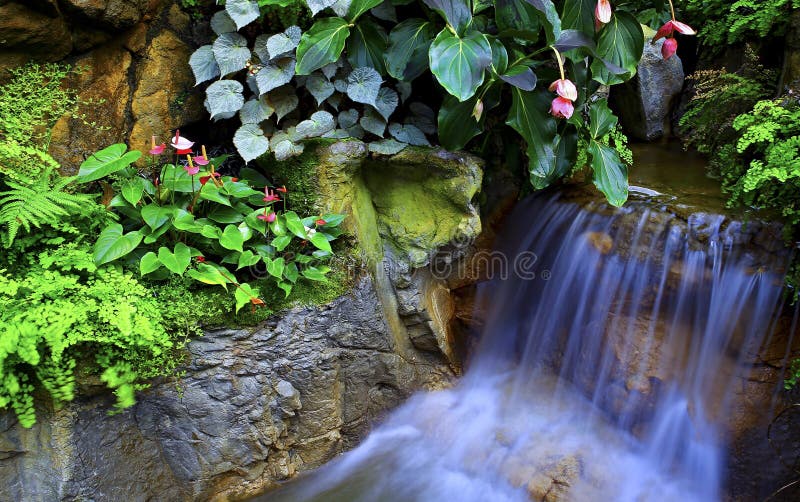 Tropical Waterfall in Zen Garden Stock Photo - Image of rocks, flowing ...