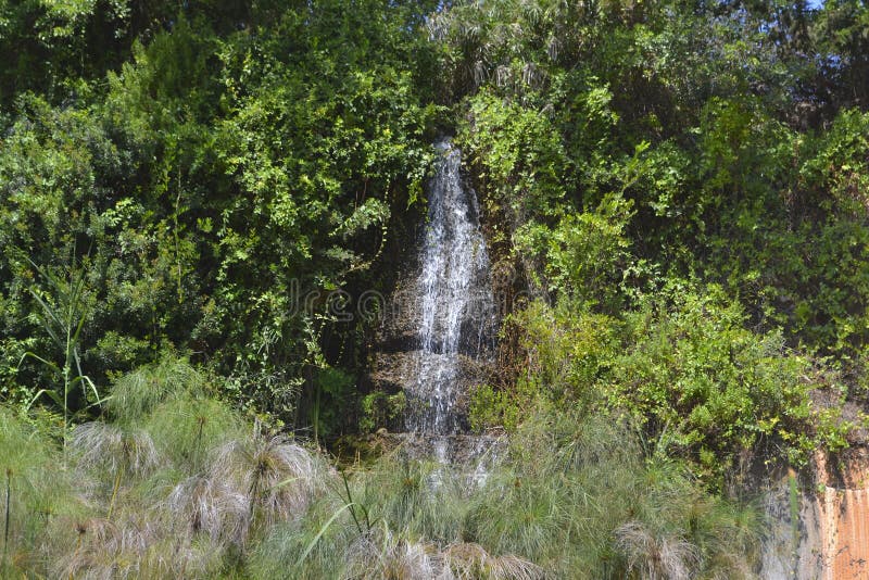Small Tropical Waterfall. Water and Green Plants Stock Image - Image of ...