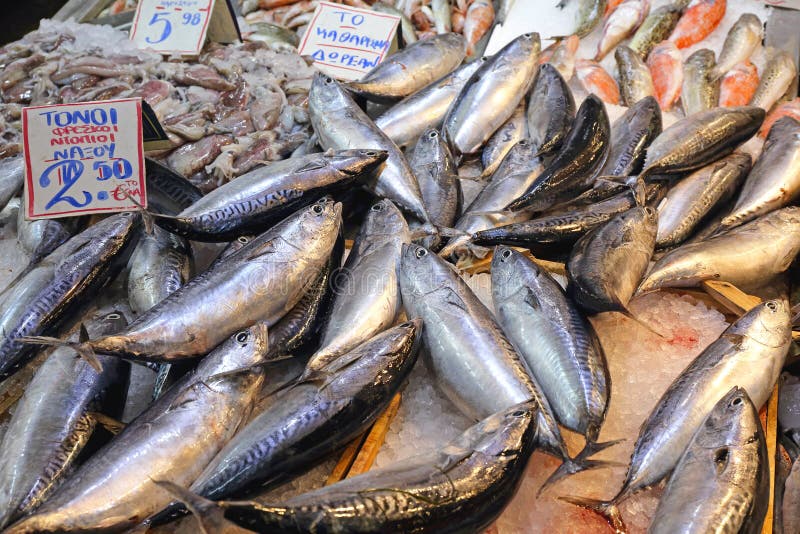 Small Tuna Tin Can on White Background Stock Photo - Image of nutrition ...