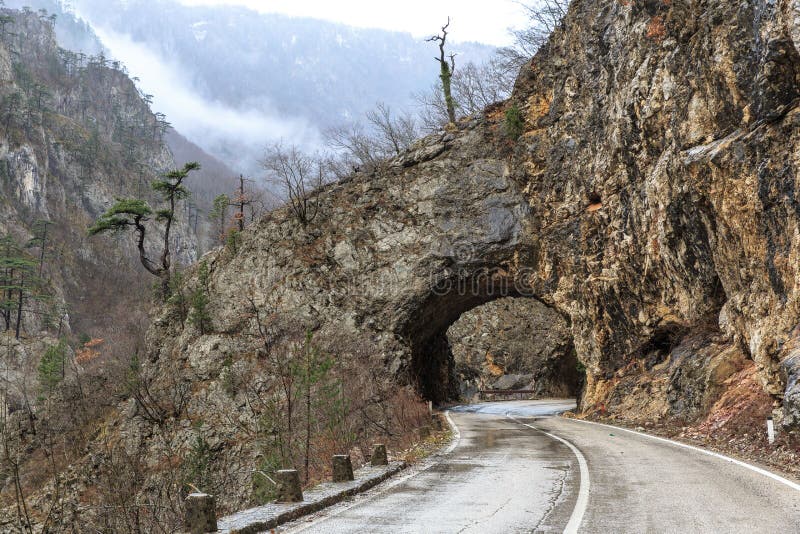 Small tunnel stock image. Image of mountains, bush, plant - 44080143