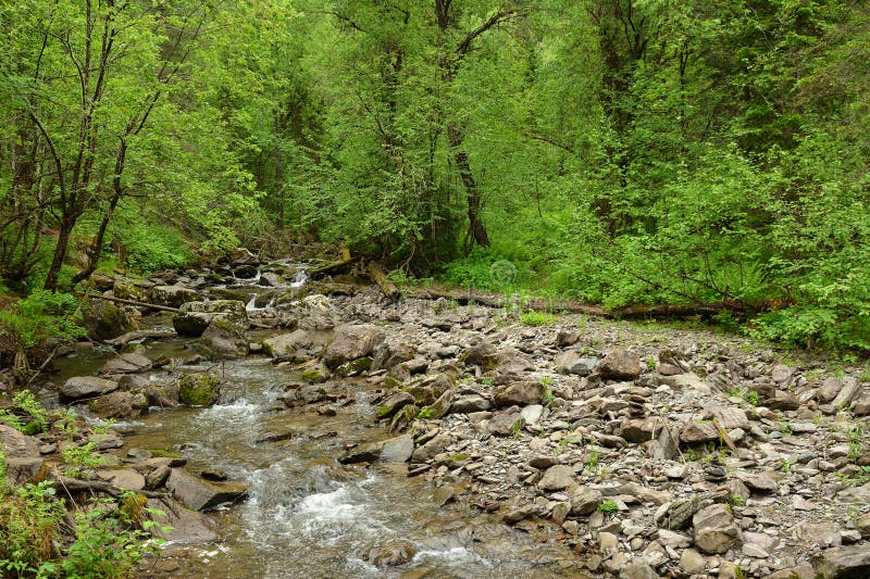 A Small Turbulent Stream with Rocky Banks Flows Down from the Mountains ...