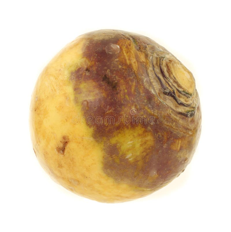 Small Turnip stock image. Image of food, yellow, pepper - 11331371