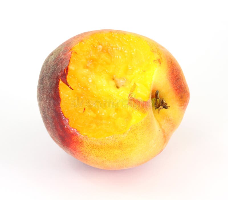 Small Utility Peach that Has One Bite Eaten Stock Image - Image of ...