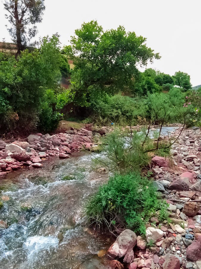 A Small Valley in Which a Water Stream Flows Down Stock Photo - Image ...