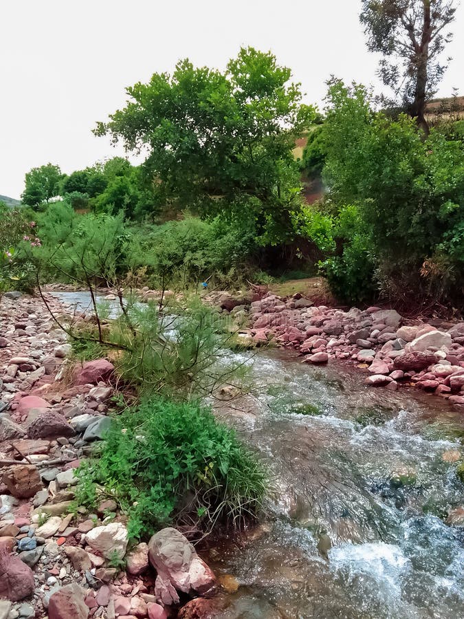 A Small Valley in Which a Water Stream Flows Down Stock Photo - Image ...
