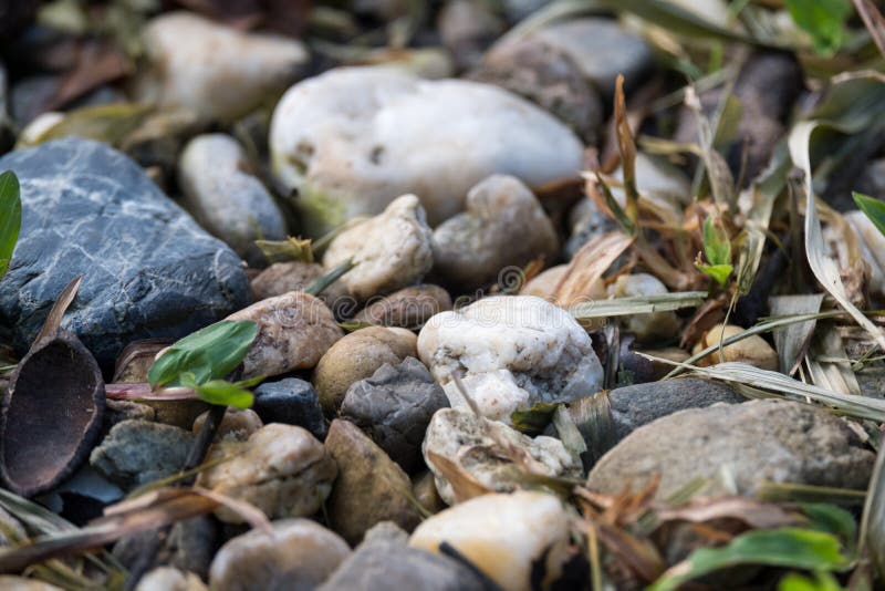 Small Various Stones, Sand, Soil with Grass Used As a Background and ...