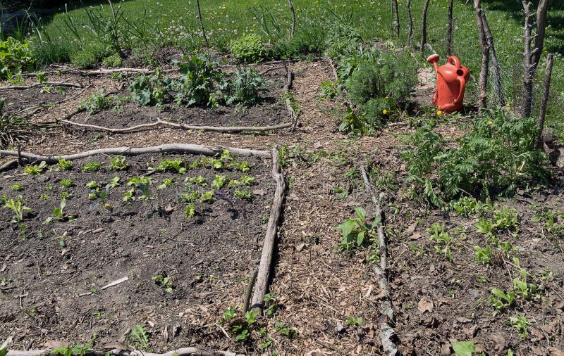 Garden stock photo. Image of agriculture, growth, vegetable - 255896852