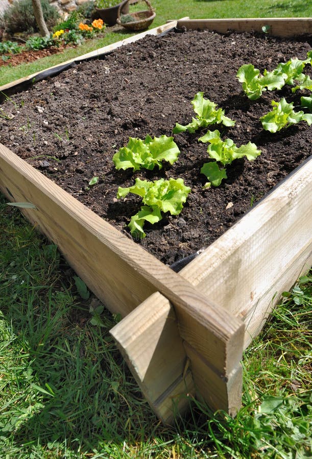 Square for Vegetable Garden Stock Image - Image of seasonal, garden ...