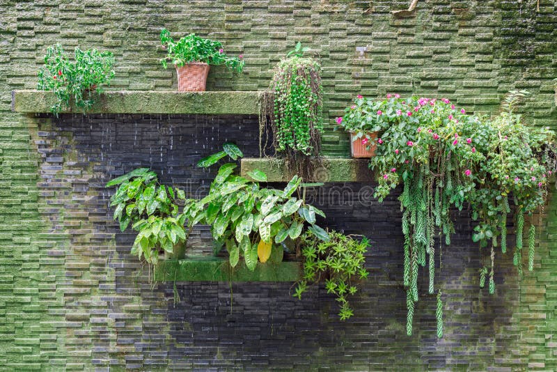 Small vertical garden stock photo. Image of outdoor, brick - 66132298