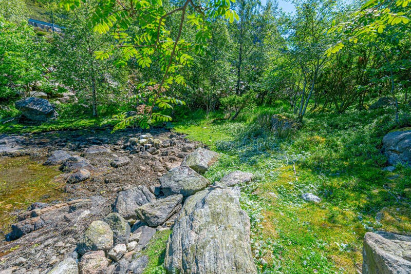 Small and Very Shallow Bay at Summer Stock Photo - Image of natural ...