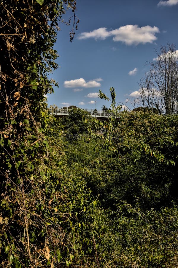 Small Viaduct in the Countryside Framed by Trees and a Clear Sky Stock ...