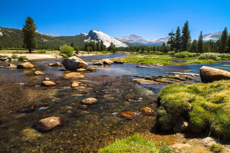Small view at Yosemite stock photo. Image of green, wood - 40187284