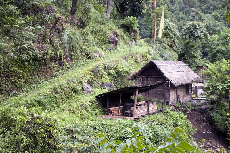 Small Village House in a Jungle Stock Image - Image of sikkim, trees ...