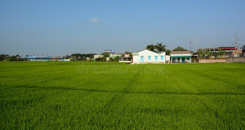 Small Fields Alternate with Ponds, Roads and Boundary Wood Belt ...