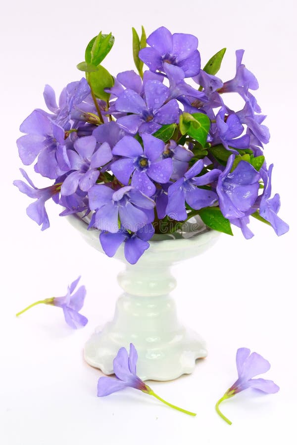 Parteen-005 stock illustration. Illustration of background - 17690240