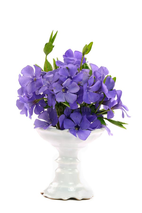 Small violet flower stock image. Image of flower, bunch - 4808707